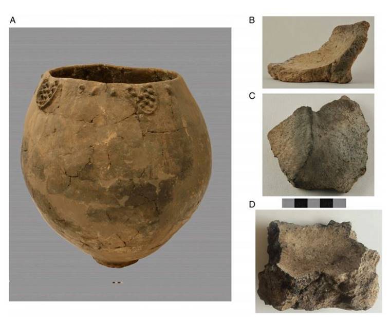 Earliest wine dates back to around 6,000 BC, say new findings | World ...