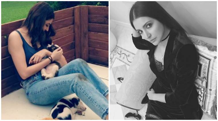 Anushka Sharma named PETA’s Person of the Year | Bollywood News - The ...