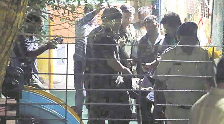 Stray leopard spreads fear, anxiety in Andheri residential society ...