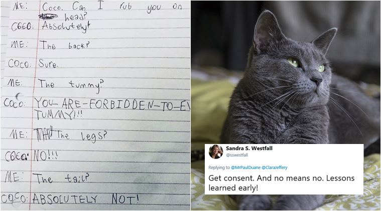 This 10-yr-old girl’s interview with her cat is going viral, and it has ...