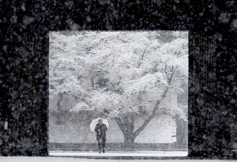 Tokyo digs out from heavy snow, transport disruptions remain | World ...