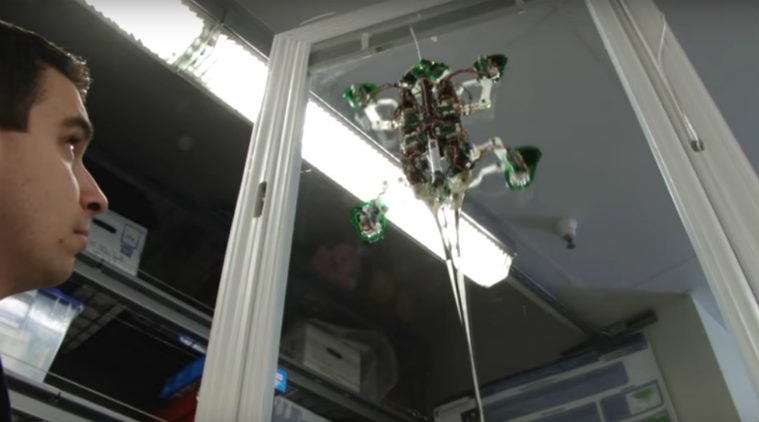 Gecko-inspired adhesives may help robots scale new heights | Technology ...