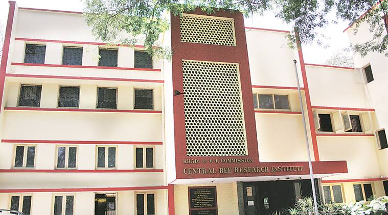 600 bee boxes to be distributed under ‘Honey Mission’ | Pune News - The ...