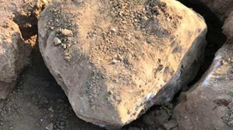 India: Dinosaur eggs found in Mahisagar; The fossil park in Balasinor ...