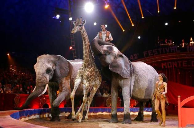 Monte-Carlo International Circus Festival: See stunning performances ...