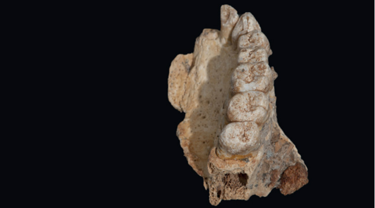 Oldest human remains outside Africa found in cave near Israel’s Haifa ...