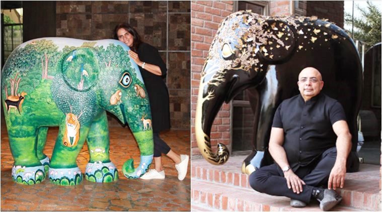 What is Elephant Parade India? | What Is News - The Indian Express