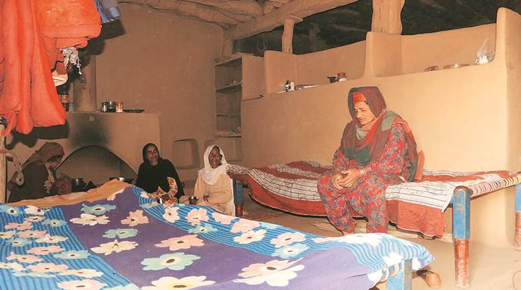 Feroza Bi and her 70 goats | India News - The Indian Express