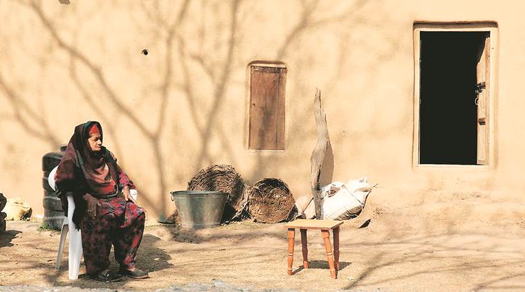 Feroza Bi and her 70 goats | India News - The Indian Express
