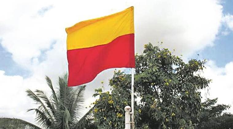 Karnataka panel proposes 3-colour official state flag | India News ...