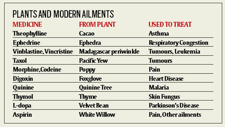 Diet Diary: Medicinal value of plants | Health News - The Indian Express
