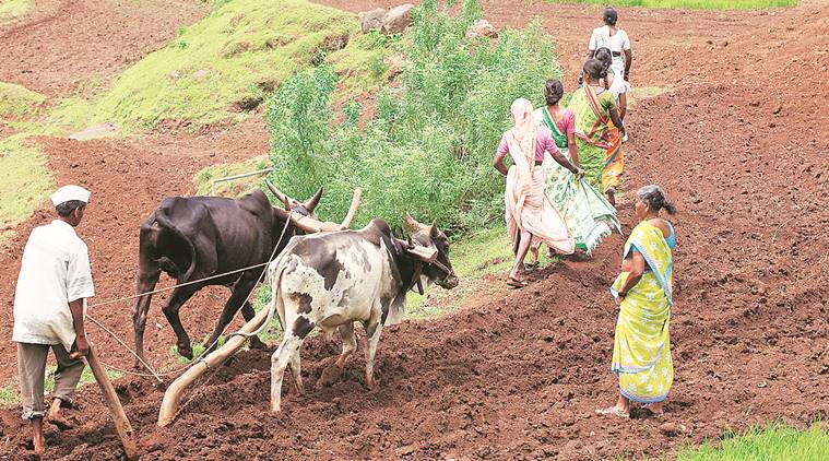 Maval farmers gear up to oppose PCMC’s closed pipeline project | Pune ...