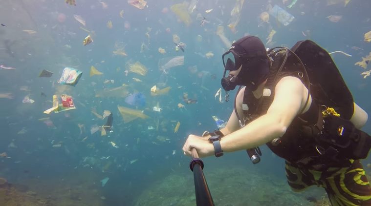 WATCH: Diver recording sea creatures swims through waste dumped in the ...