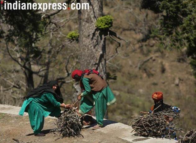 Kathua: A day in the life of the Bakarwal nomads | India News News ...