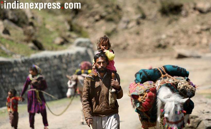 Kathua: A day in the life of the Bakarwal nomads | India News News, The ...