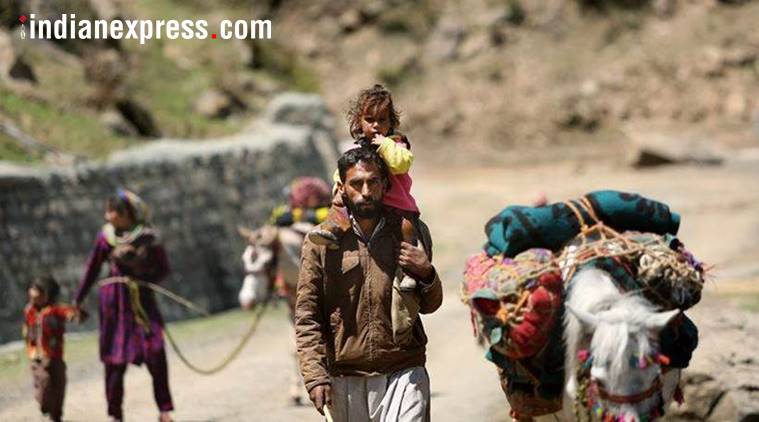 Kathua: A day in the life of the Bakarwal nomads | India News News ...