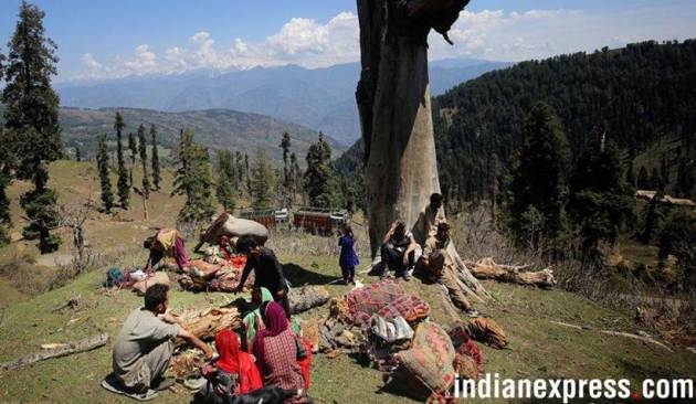 Kathua: A day in the life of the Bakarwal nomads | India News News ...