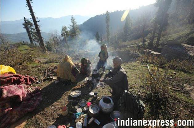 Kathua: A day in the life of the Bakarwal nomads | India News News ...
