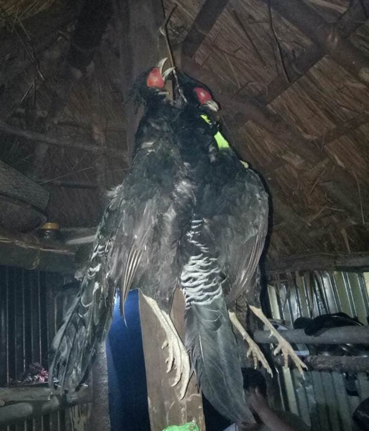 Nagaland hunts for a way out of its bloody tradition, shows some ...