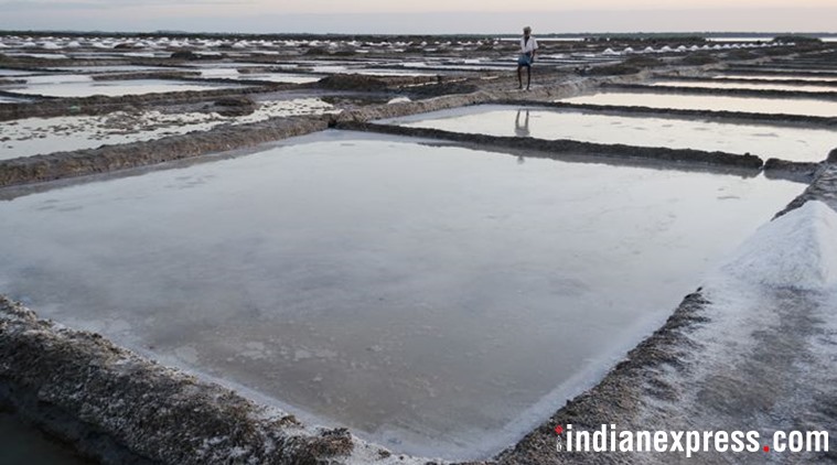 Labour Day: Tamil Nadu salt pan workers fight low wage, temporary ...