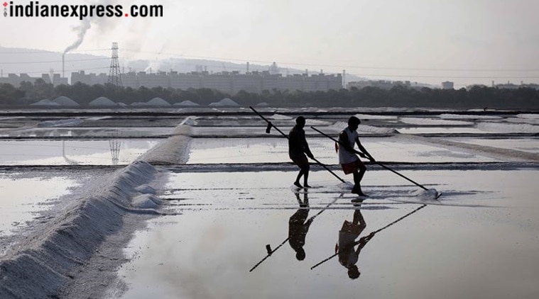 Labour Day: Tamil Nadu salt pan workers fight low wage, temporary ...