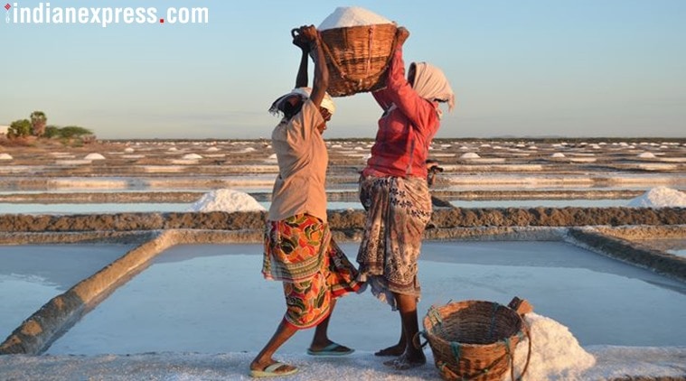 Labour Day: Tamil Nadu salt pan workers fight low wage, temporary ...