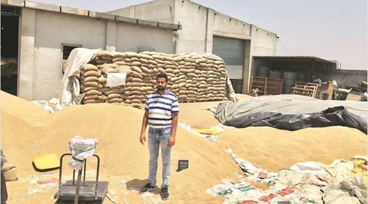 Record wheat harvest in Punjab underlines a revolution still green ...
