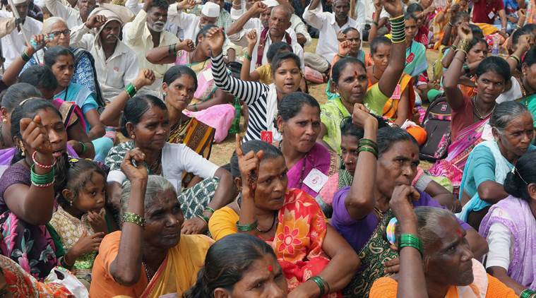 Minor forest produce, major returns | The Indian Express
