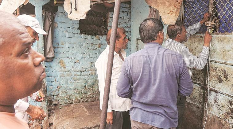 Vadodara: 17 bovines rescued from illegal slaughter houses | City ...