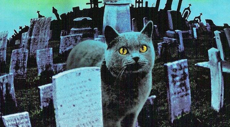 Pet Sematary movie synopsis and casting revealed | Hollywood News - The ...