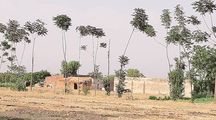 Punjab: Five Moga villages associated with Guru Nanak set for facelift ...