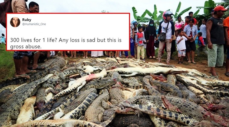 Crocodile kills Indonesian man, villagers slaughter around 300 in ...