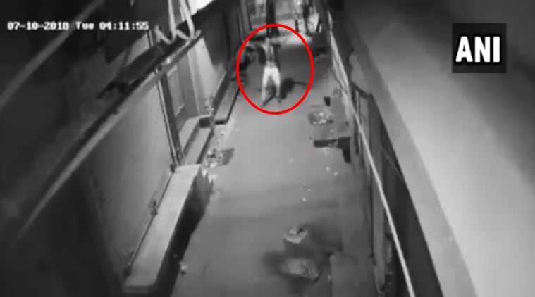 CCTV video of Delhi thief’s impromptu dance before breaking a shop open ...