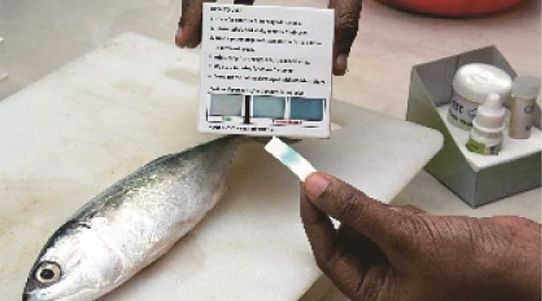 In the test of fish, a dash of colour | Explained News - The Indian Express