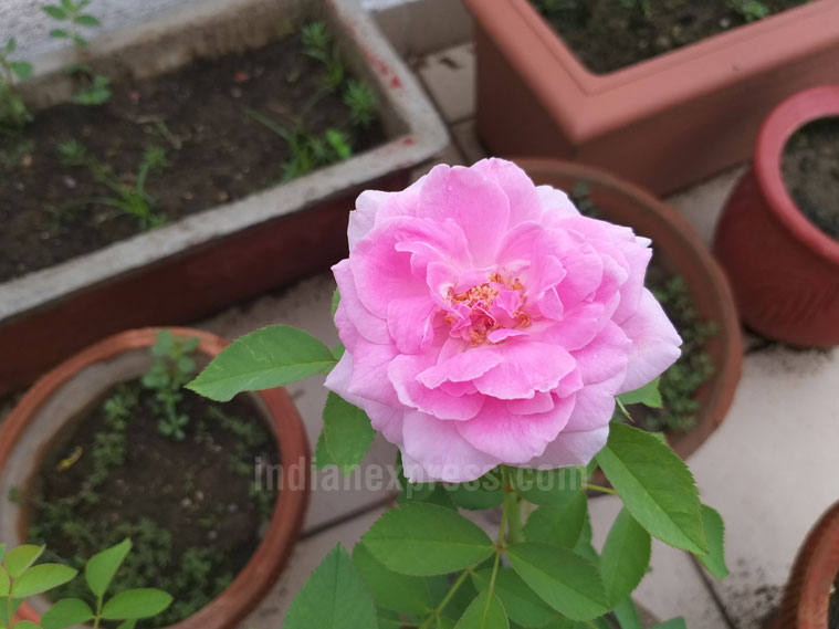 Samsung Galaxy A6+ review: Infinity display and selfie camera stand out ...