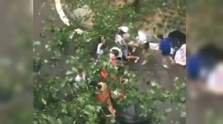 WATCH: Women come together to help teacher stuck under fallen tree ...