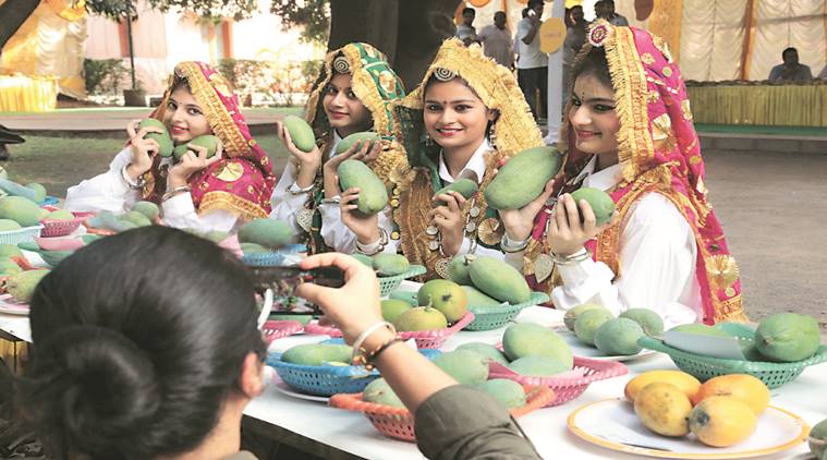 Mango mela kicks off in Chandigarh, over 4000 varieties register ...