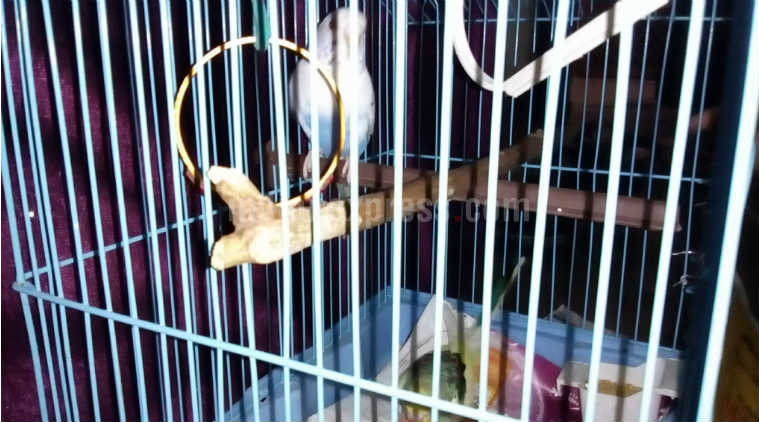 Nokia 1 review: The Android Go edition needs some more work ...