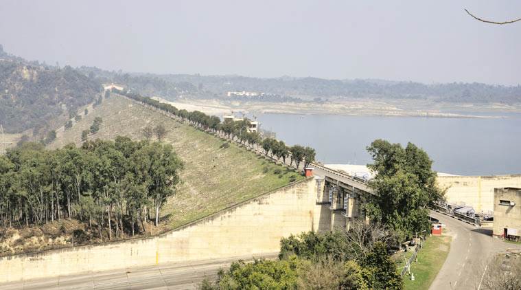 Power generation disrupted at Pong dam, Mukerian hydel project | India ...