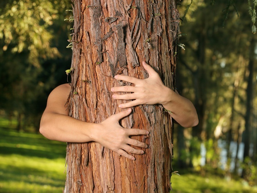 Trees are our lifeline! Learn how to save a tree in distress ...