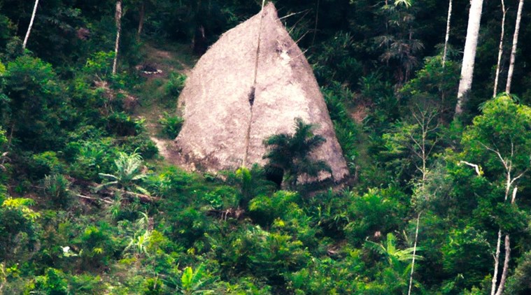WATCH: New tribe in Amazon spotted by drone | Life-style News - The ...