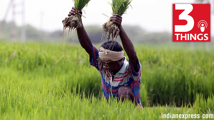 Why only 23% of all rural income comes from agriculture | The Indian ...