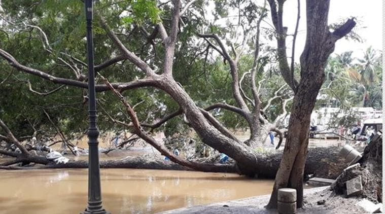 Kerala flood leaves remains of ancient sea port Muziris covered in silt ...