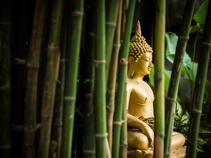 How the Buddha gained enlightenment | Parenting News - The Indian Express