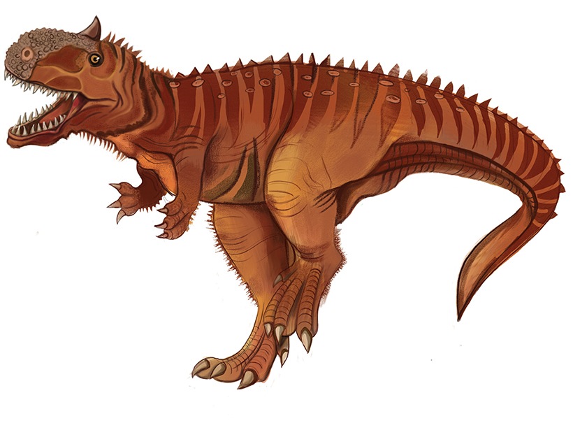 Did you know about Indian dinosaurs? Meet the Rajasaurus | Parenting ...