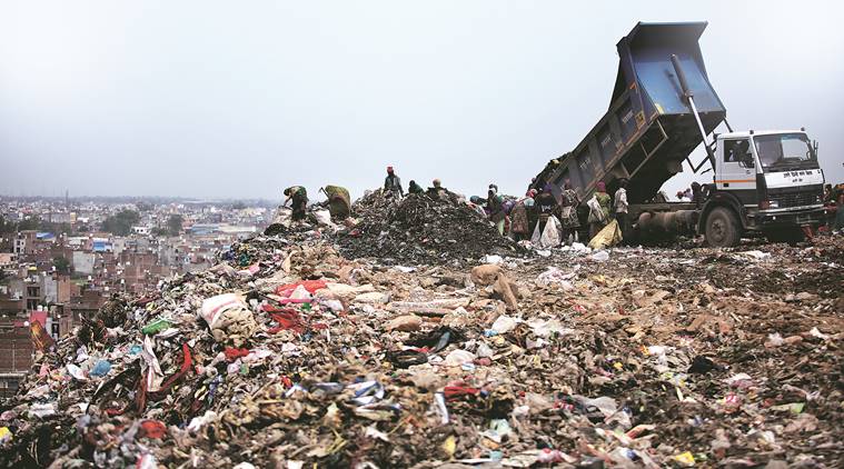 The chain: where waste segregation is lacking | Chandigarh News - The ...