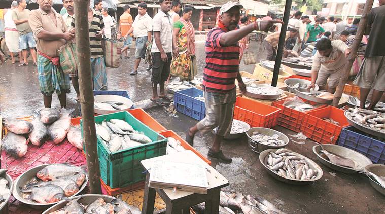 Tripura fish market in crisis as Bangladeshi traders halt export ...