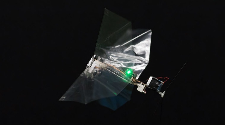 Novel insect-inspired flying robot developed | Technology News - The ...