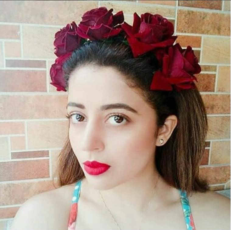 Meet Bigg Boss 12 contestant Nehha Pendse | Television News - The ...