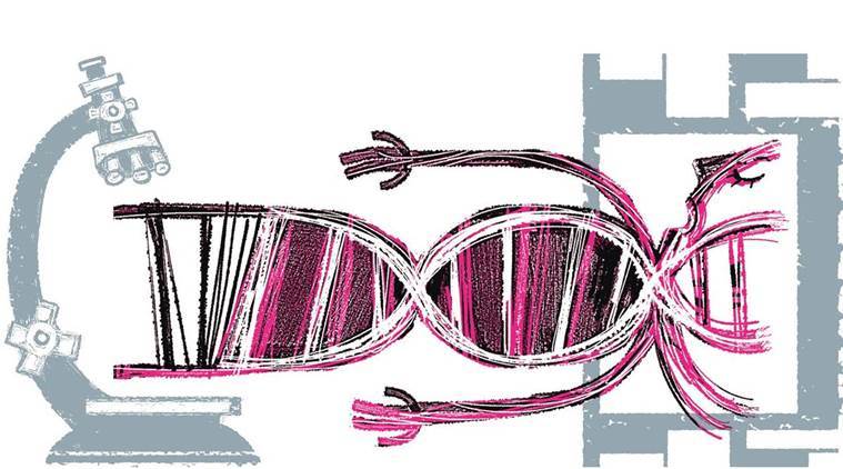 Novel DNA tool lets you trace your ancestry | Technology News,The ...